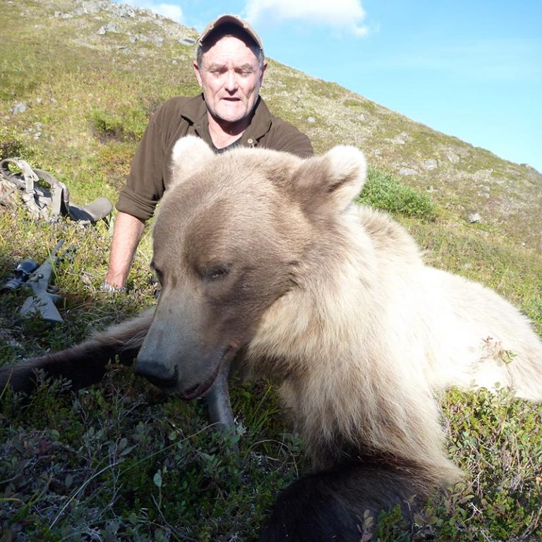Grizzly Bear Hunting in Alaska – Midnight Sun Safaris